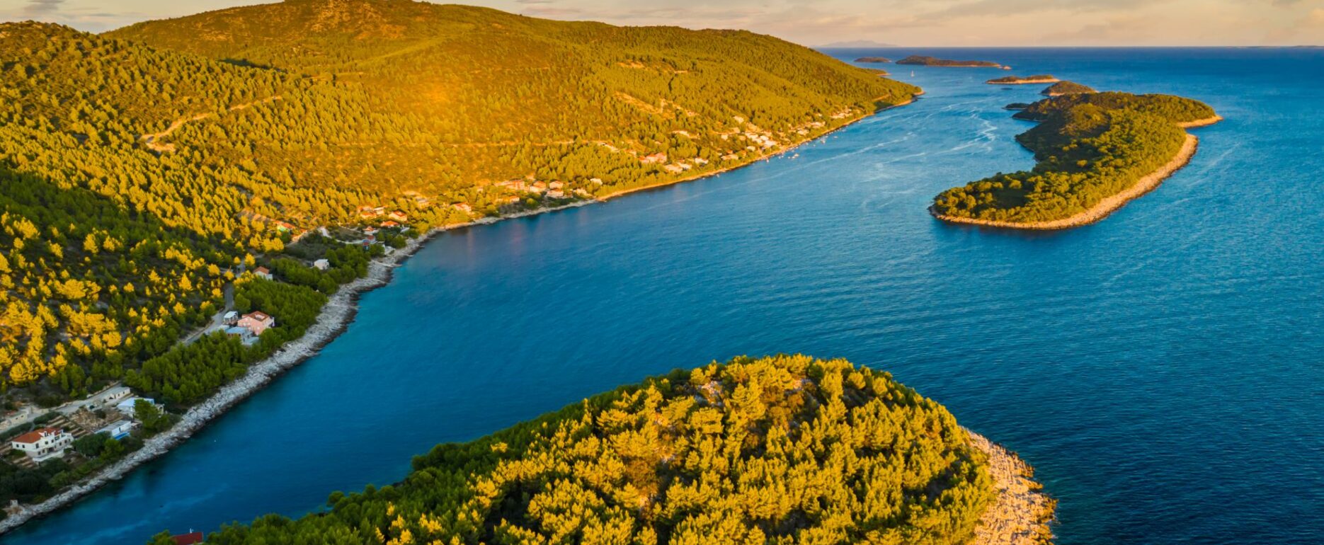 Tailored Private Tours for Your Perfect Dalmatian Adventure